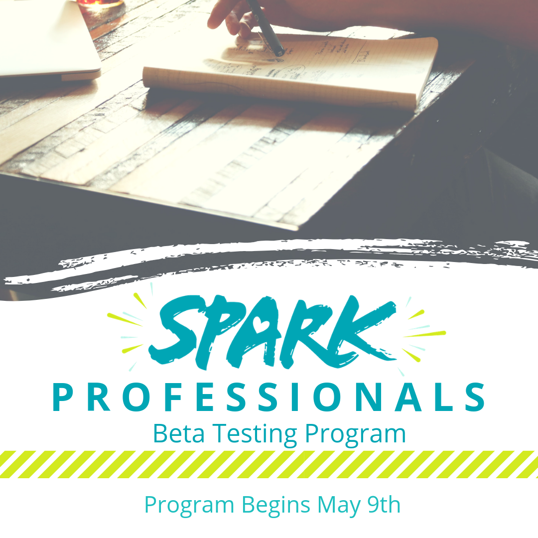SPARK Professionals Program-Self Study Adult - The SPARK Mentoring Program